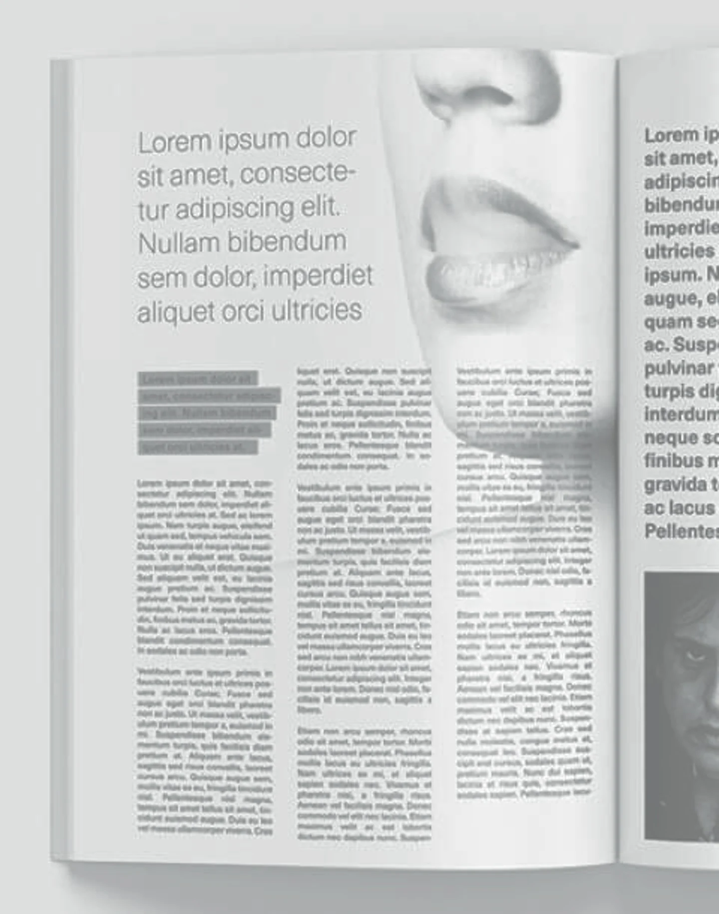 Lorem Ipsum – Generator, Origins, and Meaning